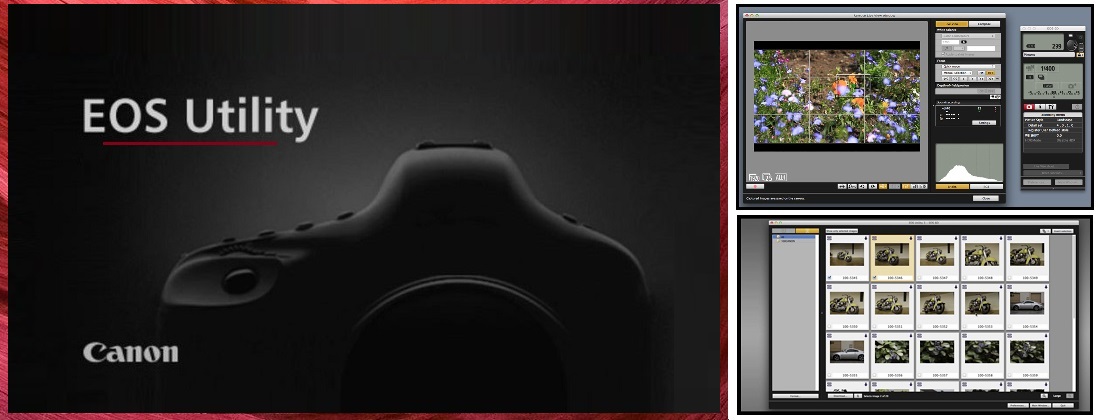 Canon Mexicana Líder en Solución de Imagen